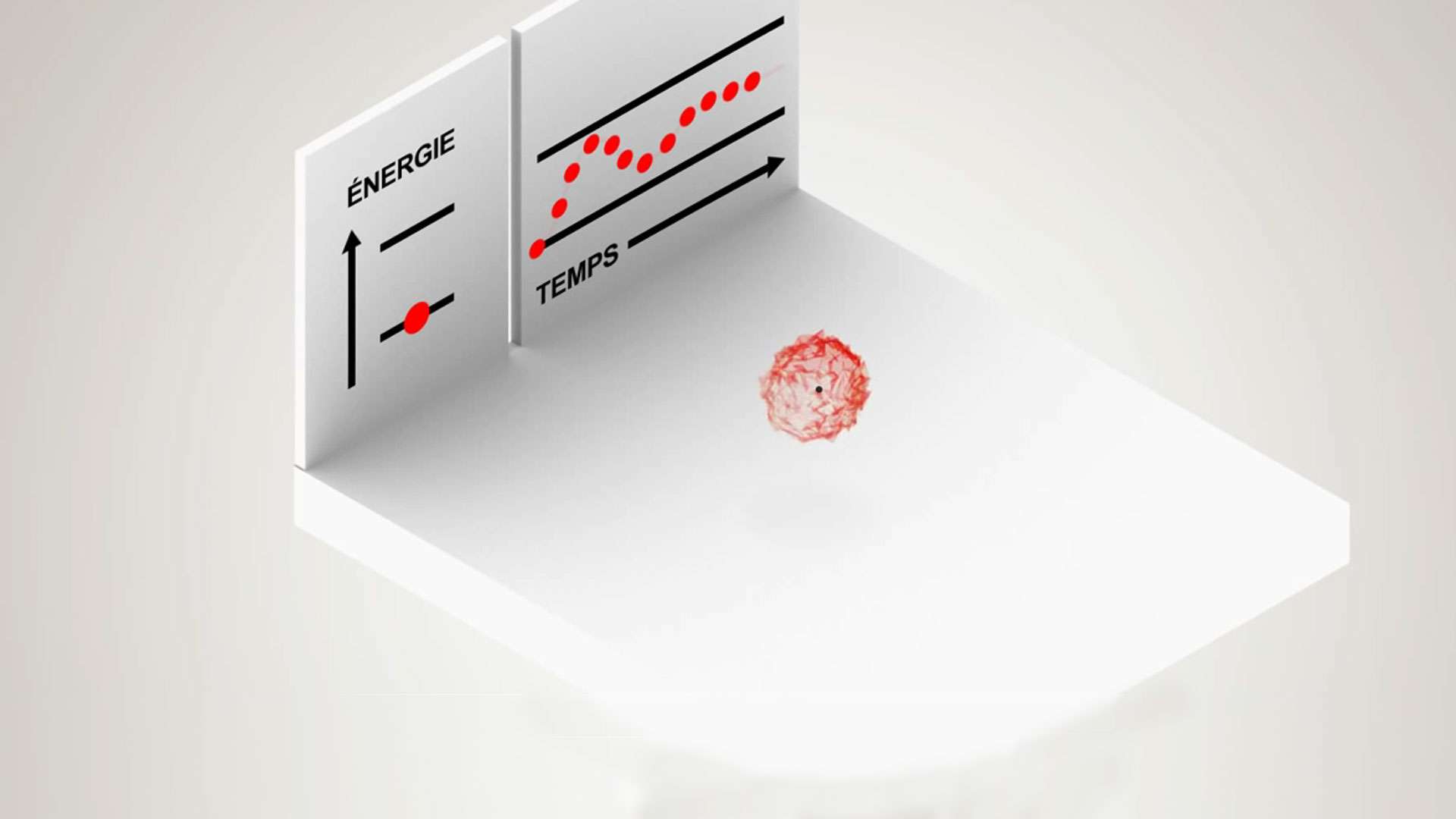 Tout est quantique : comment fonctionne le principe de superposition