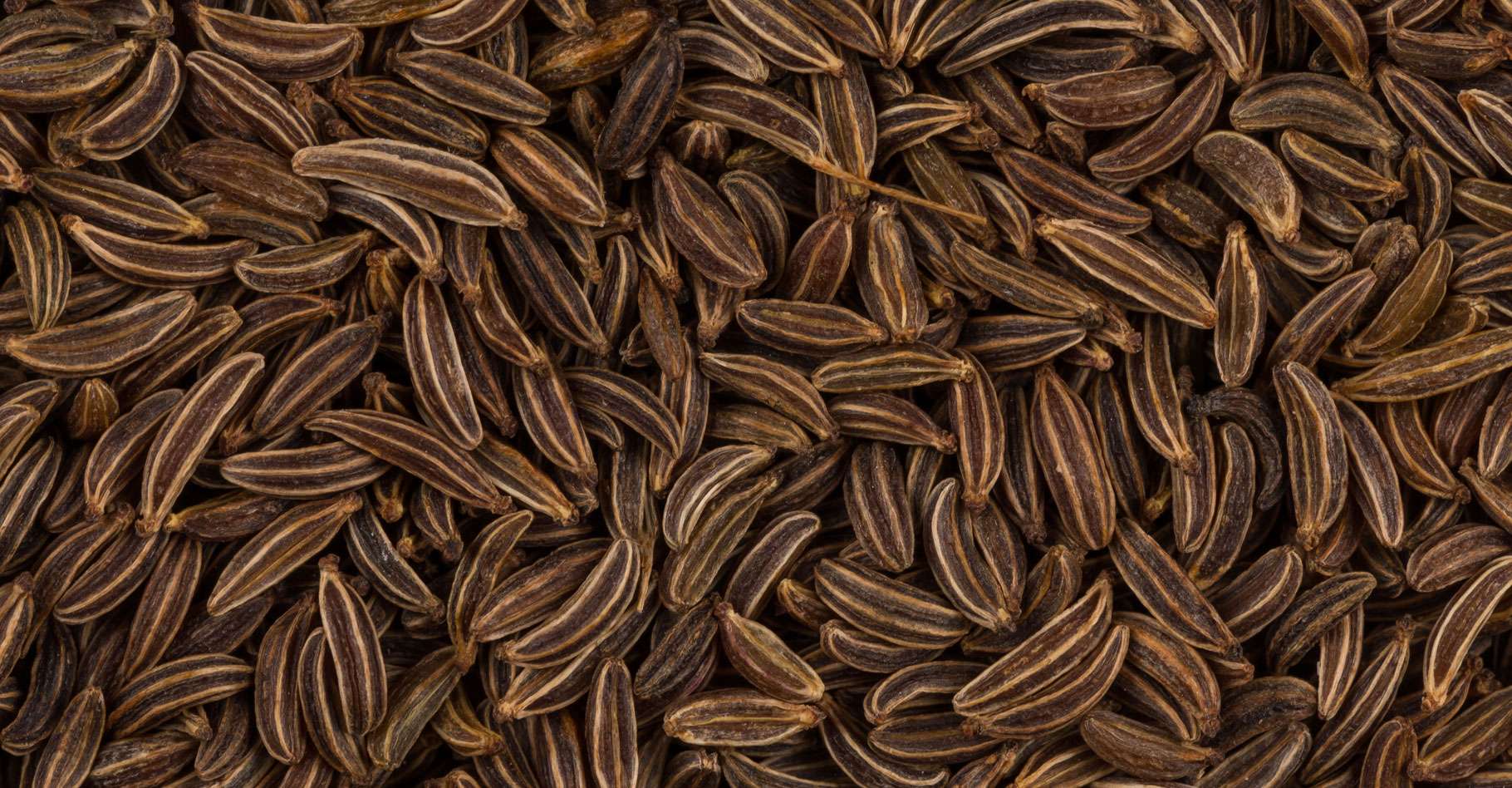 Plante : le cumin et ses bienfaits | Dossier