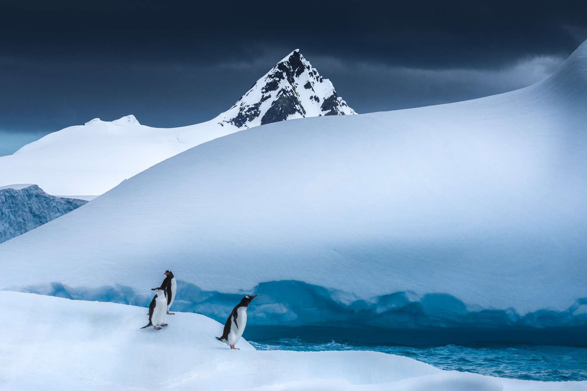 Découvrez la nature sauvage à travers les photographies de Marco Grassi