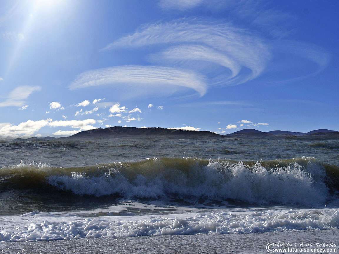 Ecume de mer - Fond d'écran et images gratuites
