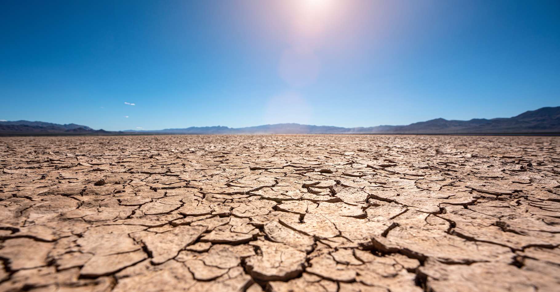 La sécheresse empêche le sol de stocker du carbone
