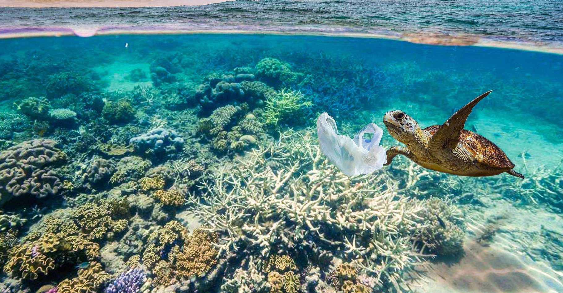 Septième continent de plastique : pistes d'avenir et futur | Dossier
