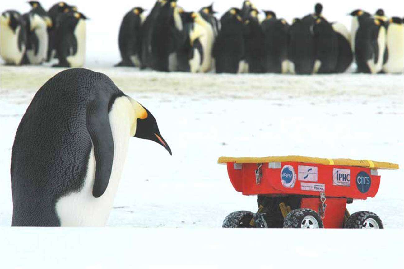 Décryptage : les robots, prochaine révolution en écologie