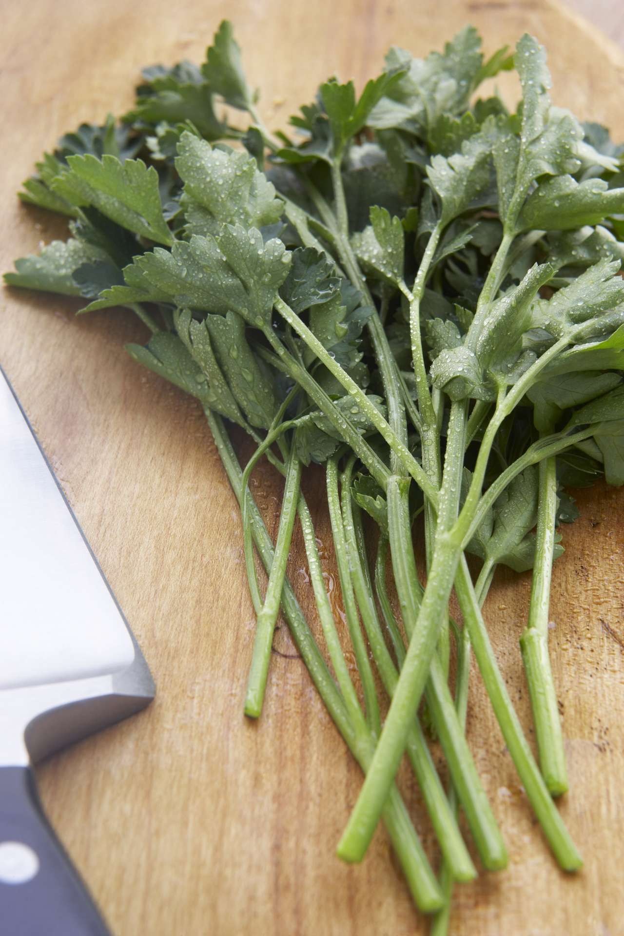 Définition | Coriandre