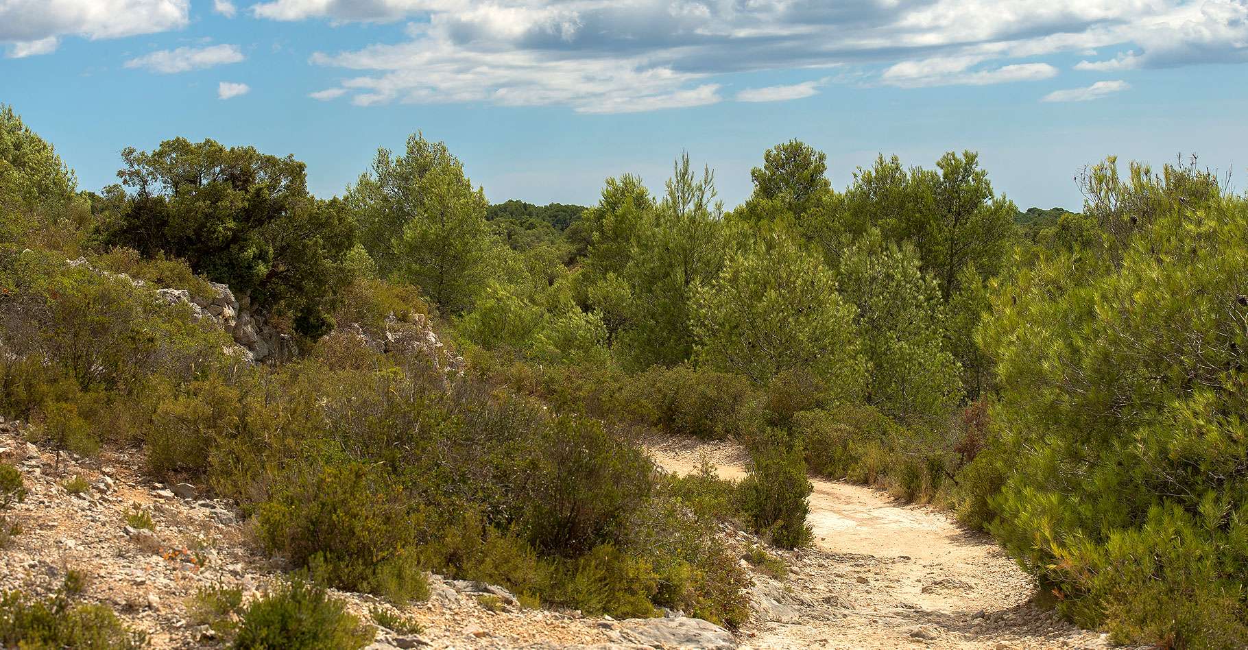La garrigue | Dossier