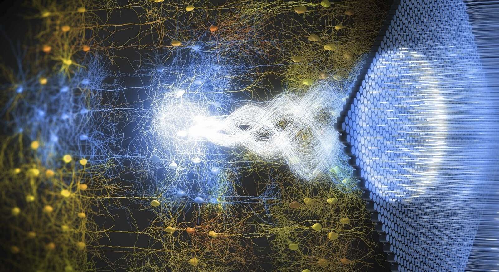 La sonogénétique, une nouvelle interface cerveau-machine pour restaurer ...