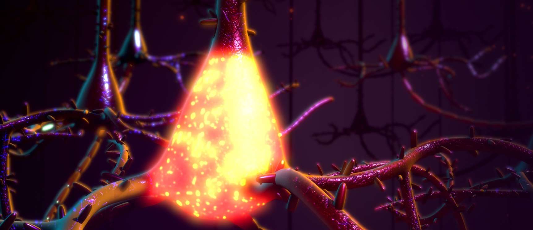 Définition | Neurone pyramidal