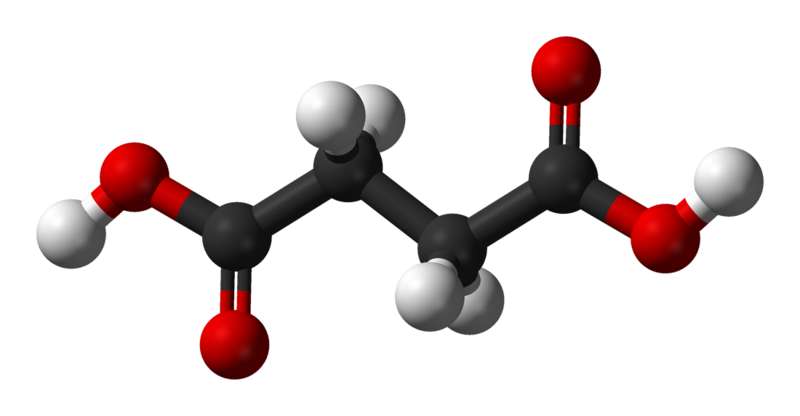 Définition | Succinate : Rôle, Applications et Implications en Biologie ...