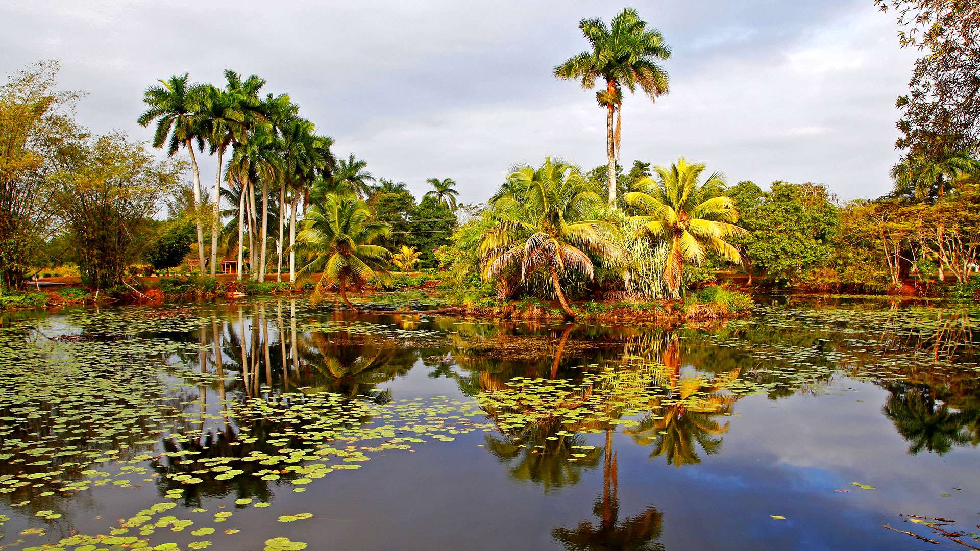 Guama et la laguna del Tesoro - Photos Futura