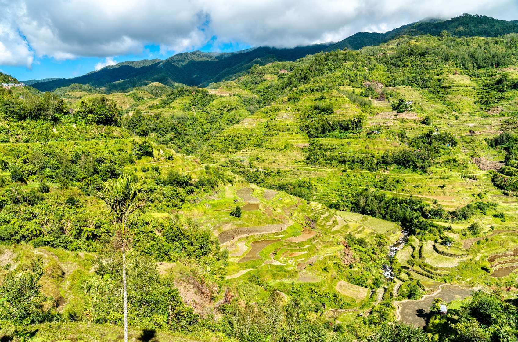 Homo luzonensis, une nouvelle espèce humaine identifiée aux Philippines
