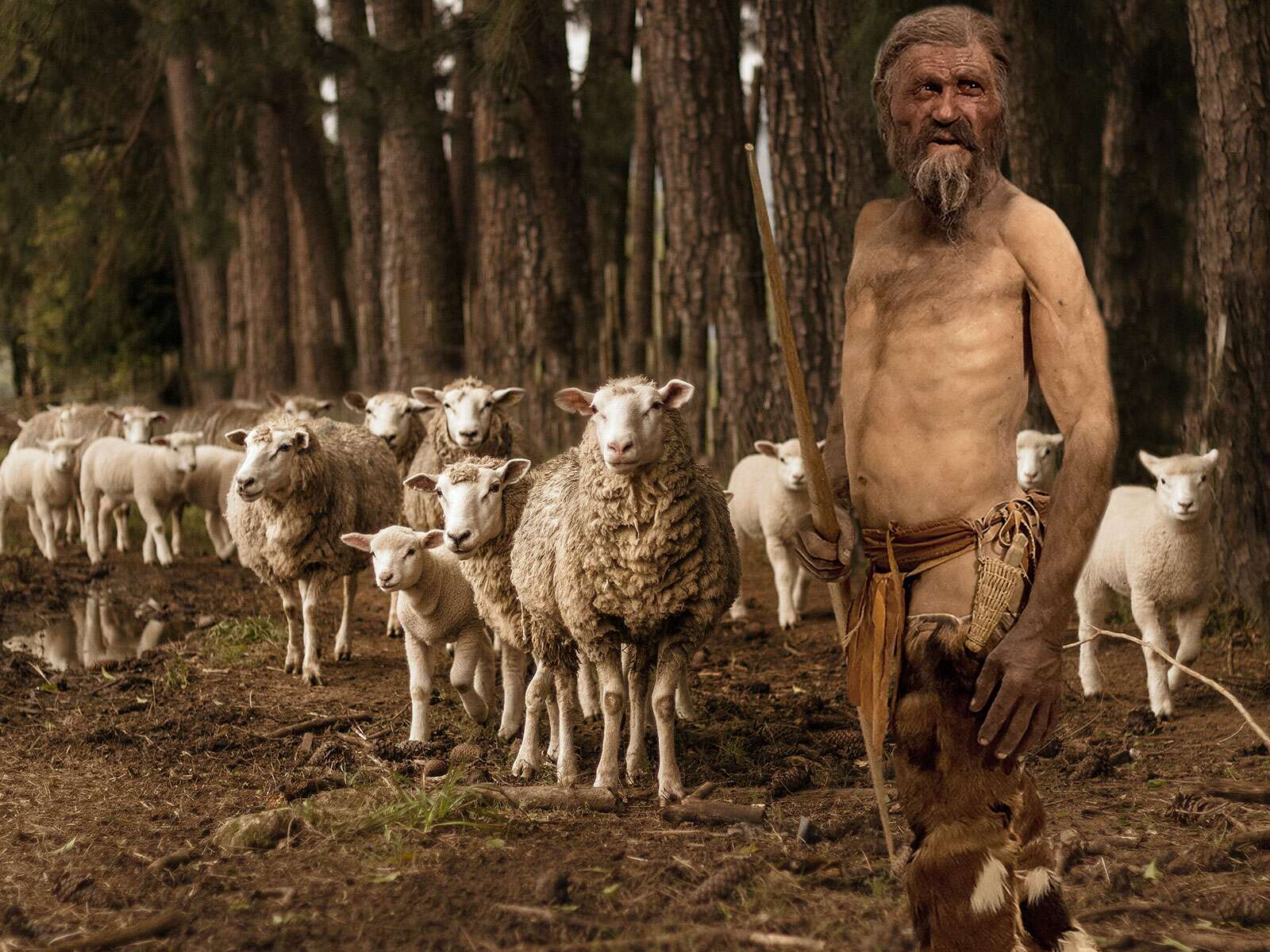 Ötzi, l'homme des glaces découvert en 1991 était un berger. - Fond d ...