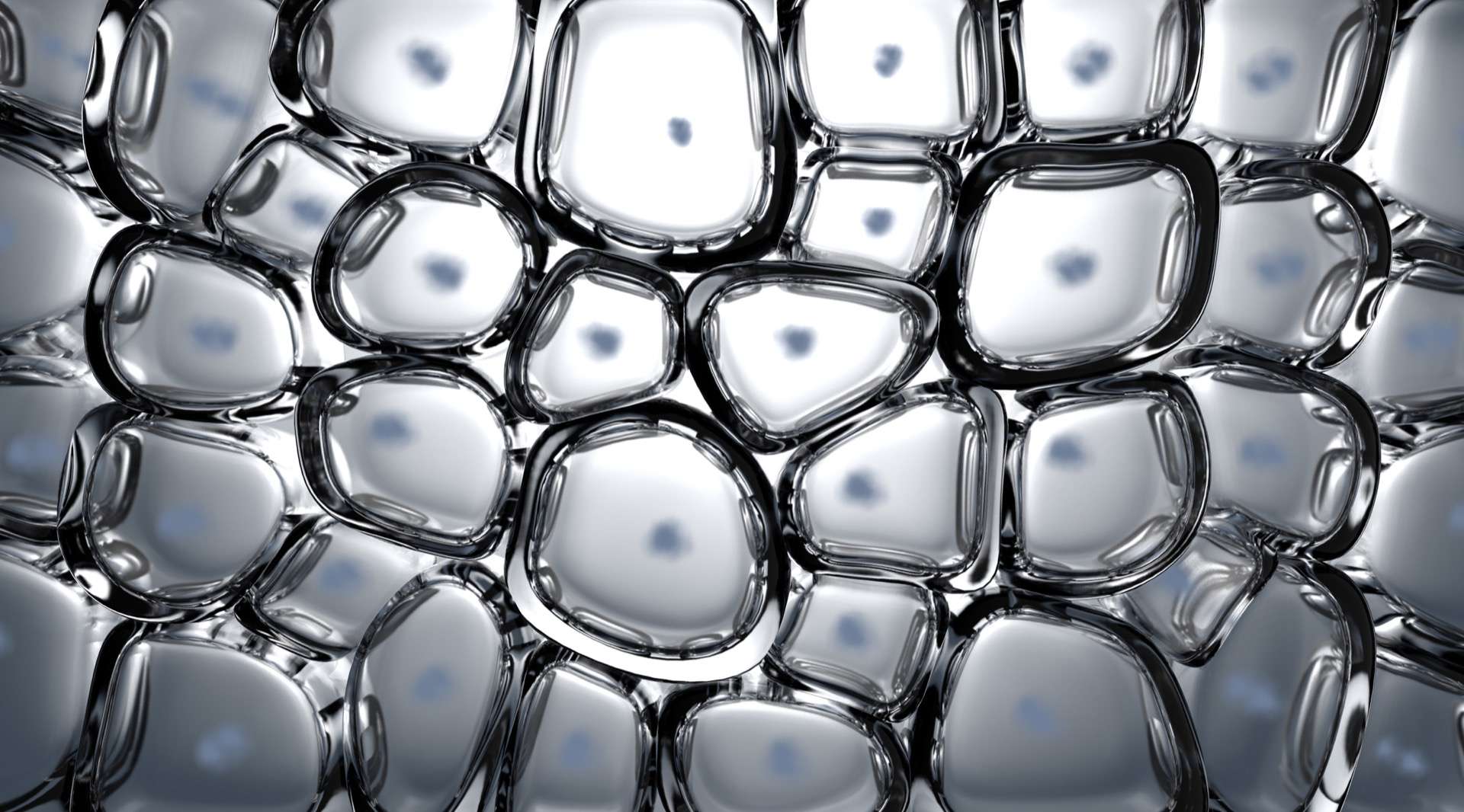 Définition | Cellule