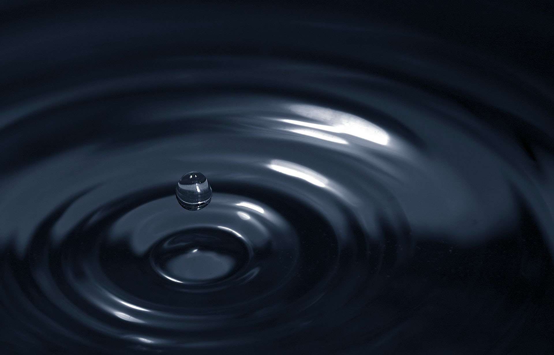 Le théorème de Thalès : l’invention des mathématiques | Dossier