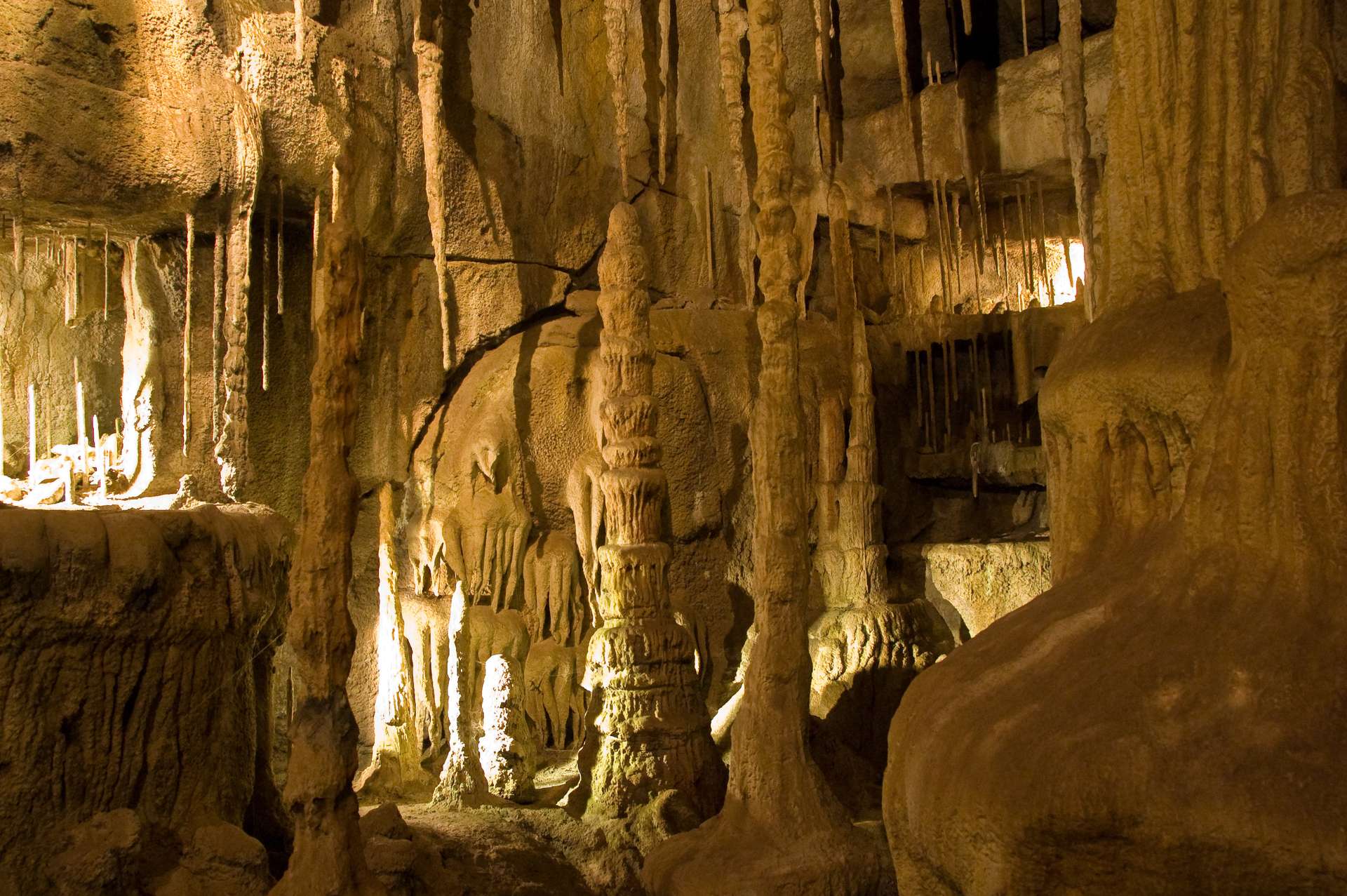 Définition | Concrétions : Définition et Rôle en Biologie et Minéralogie