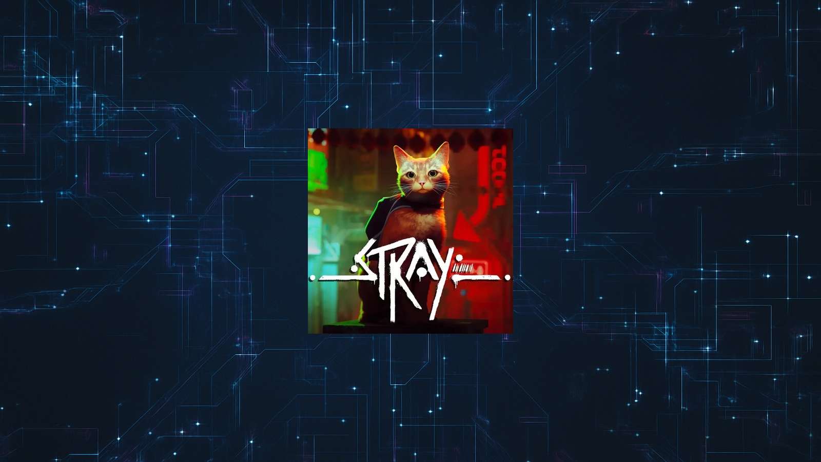 Définition | Stray — Présentation complète, téléchargement ...