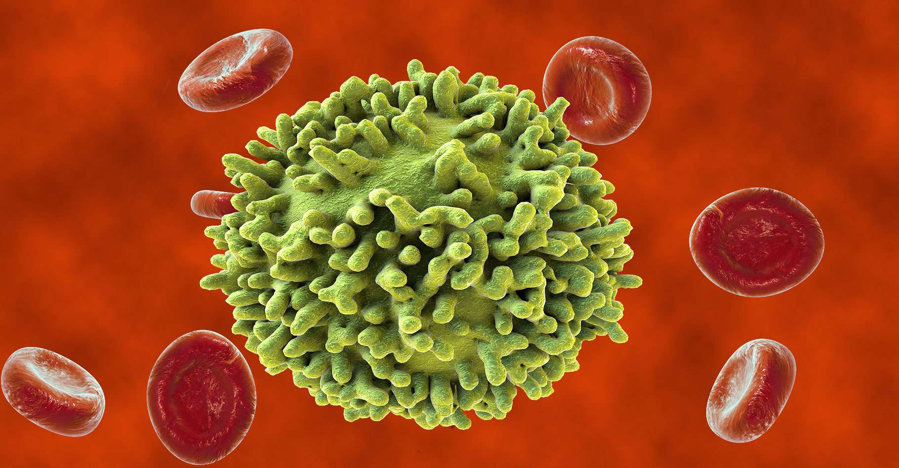La polyarthrite rhumatoïde, une maladie auto-immune | Dossier