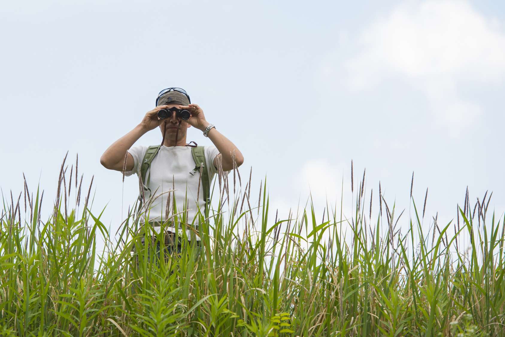 La biodiversité en France a besoin de vous