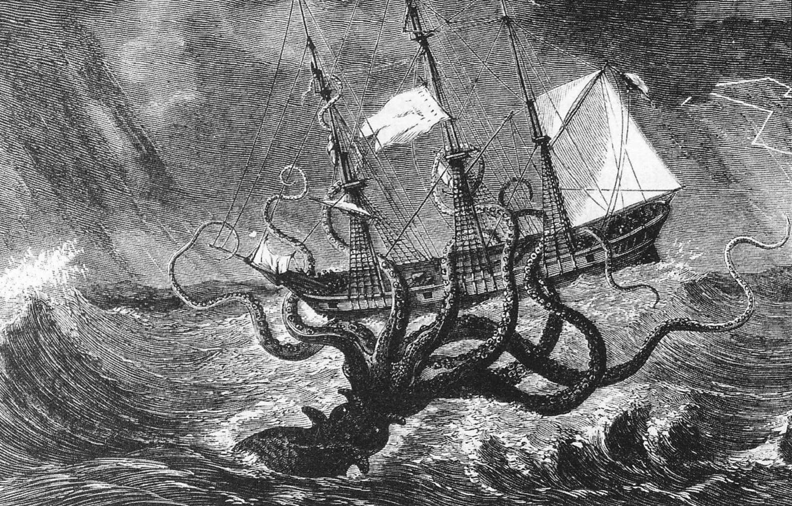 En vidéo : Kraken, le monstre derrière la légende