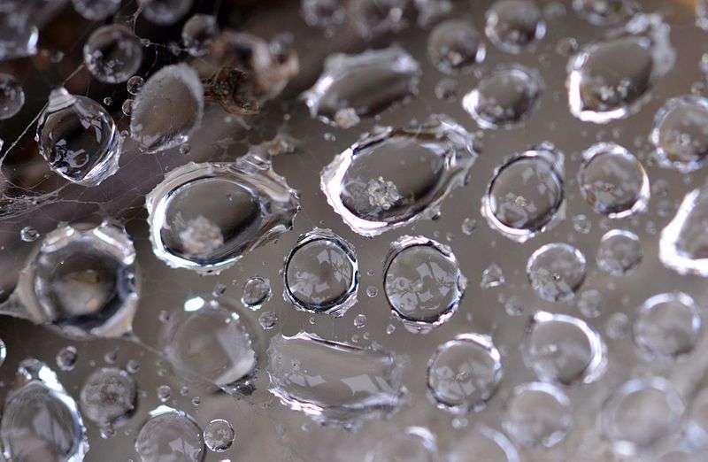 Définition | Bruine - Crachin