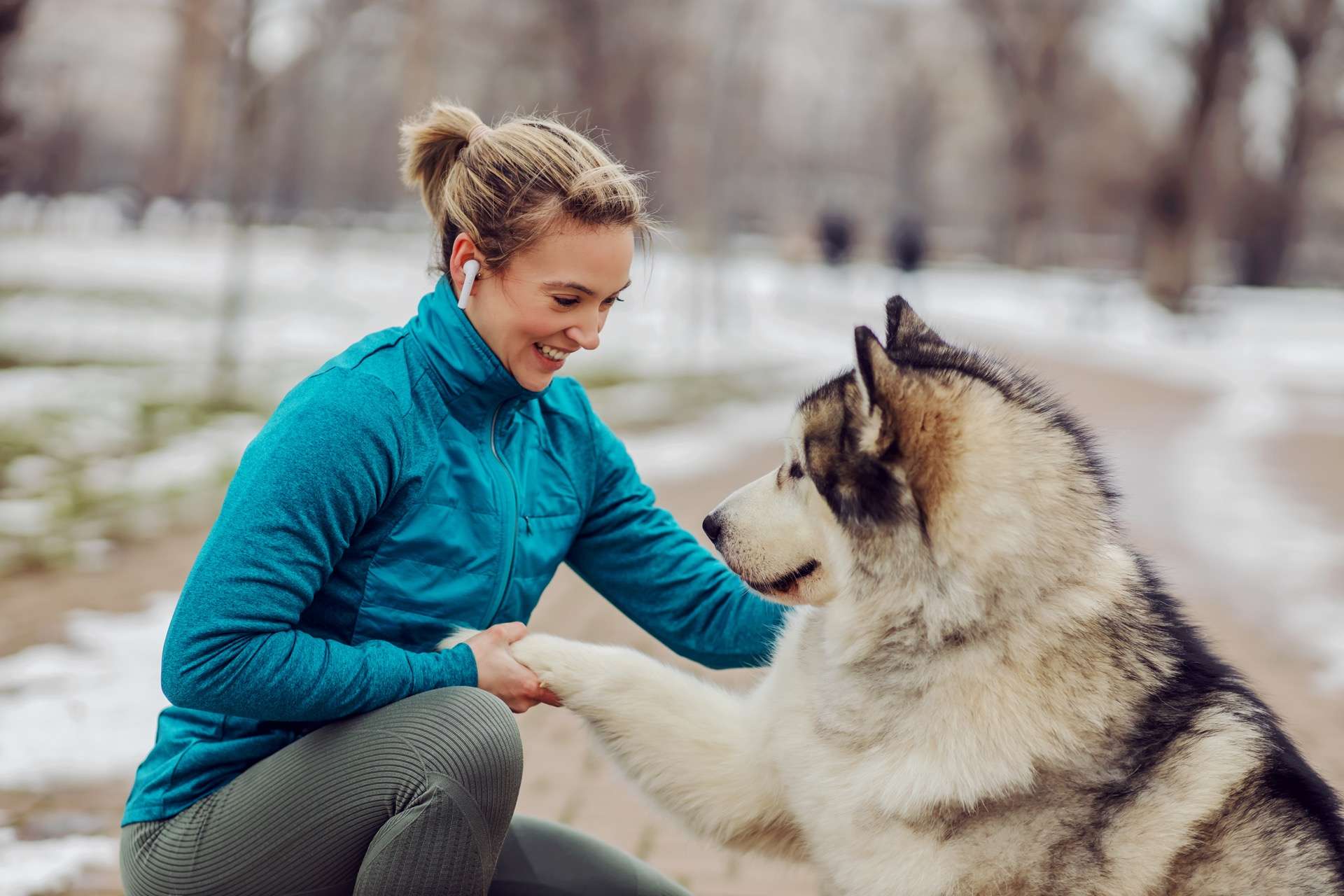 Les scientifiques ont découvert la meilleure façon de parler à votre chien