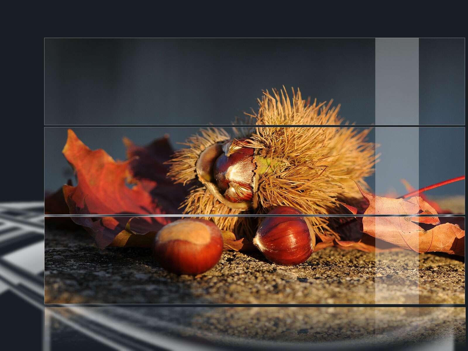 Automne, mangeons des châtaignes - Fond d'écran et images gratuites