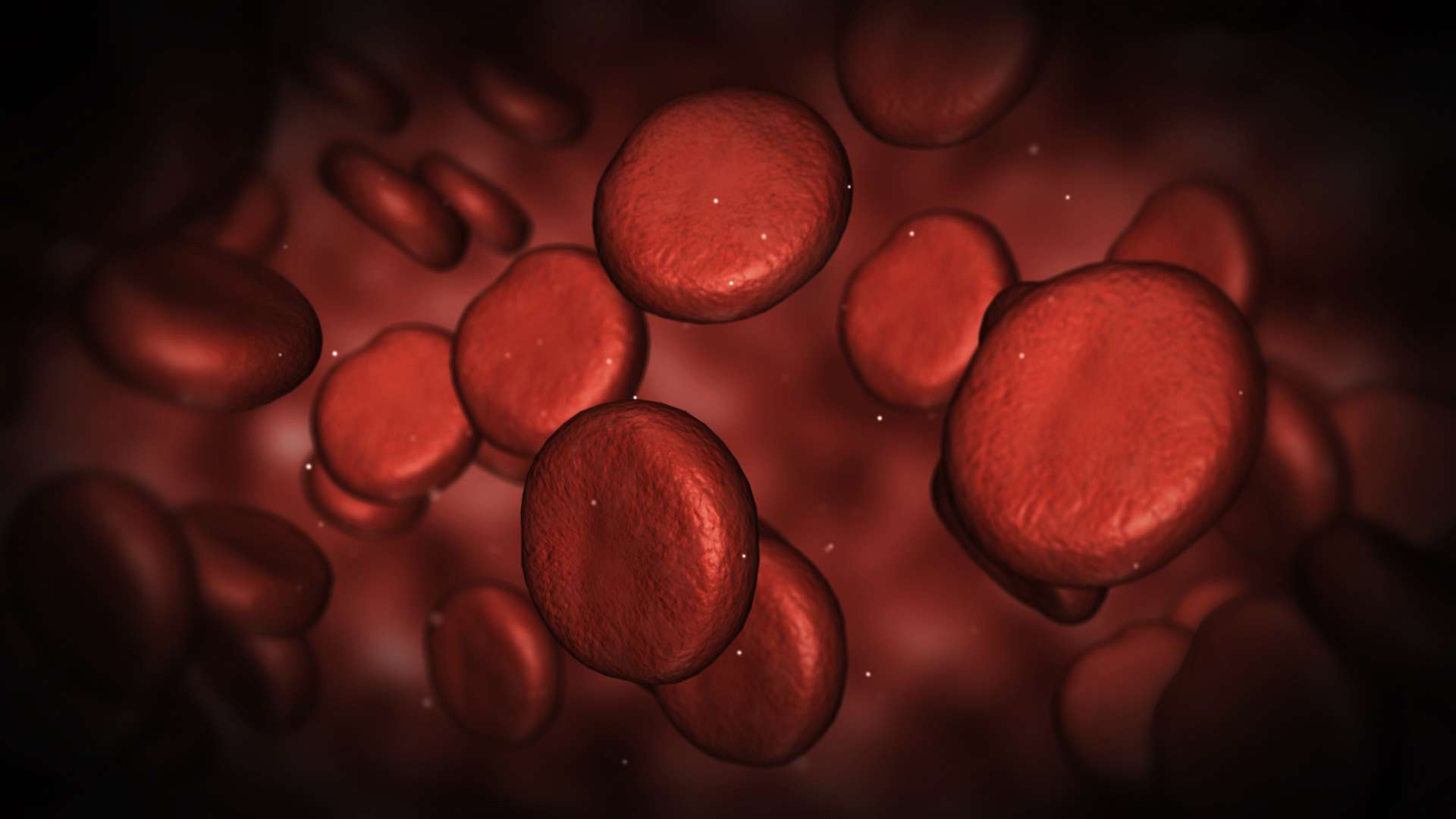 Définition | Réticulocytes : définition, cycle de vie et rôle médical