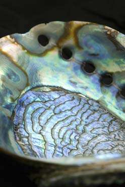 Pourquoi la nacre est-elle si solide