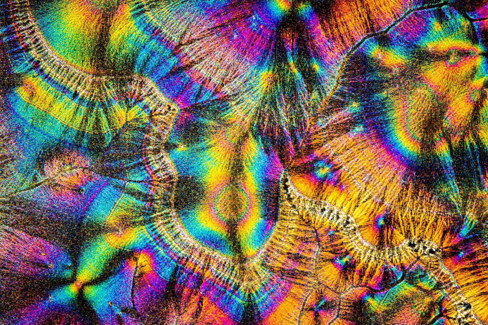Définition | Microscope en lumière polarisée - Microscope polarisant ...