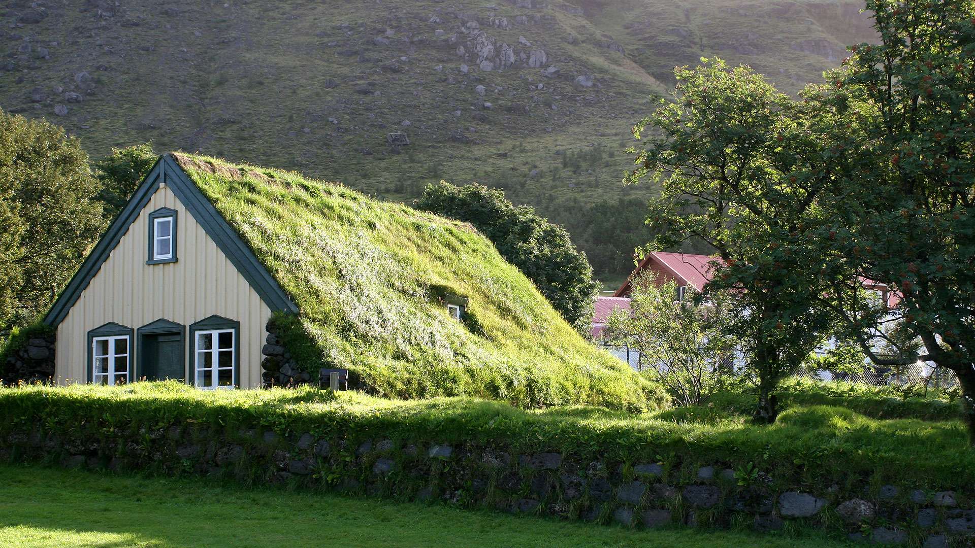 Vidéo : un kit pour transformer son toit en jardin
