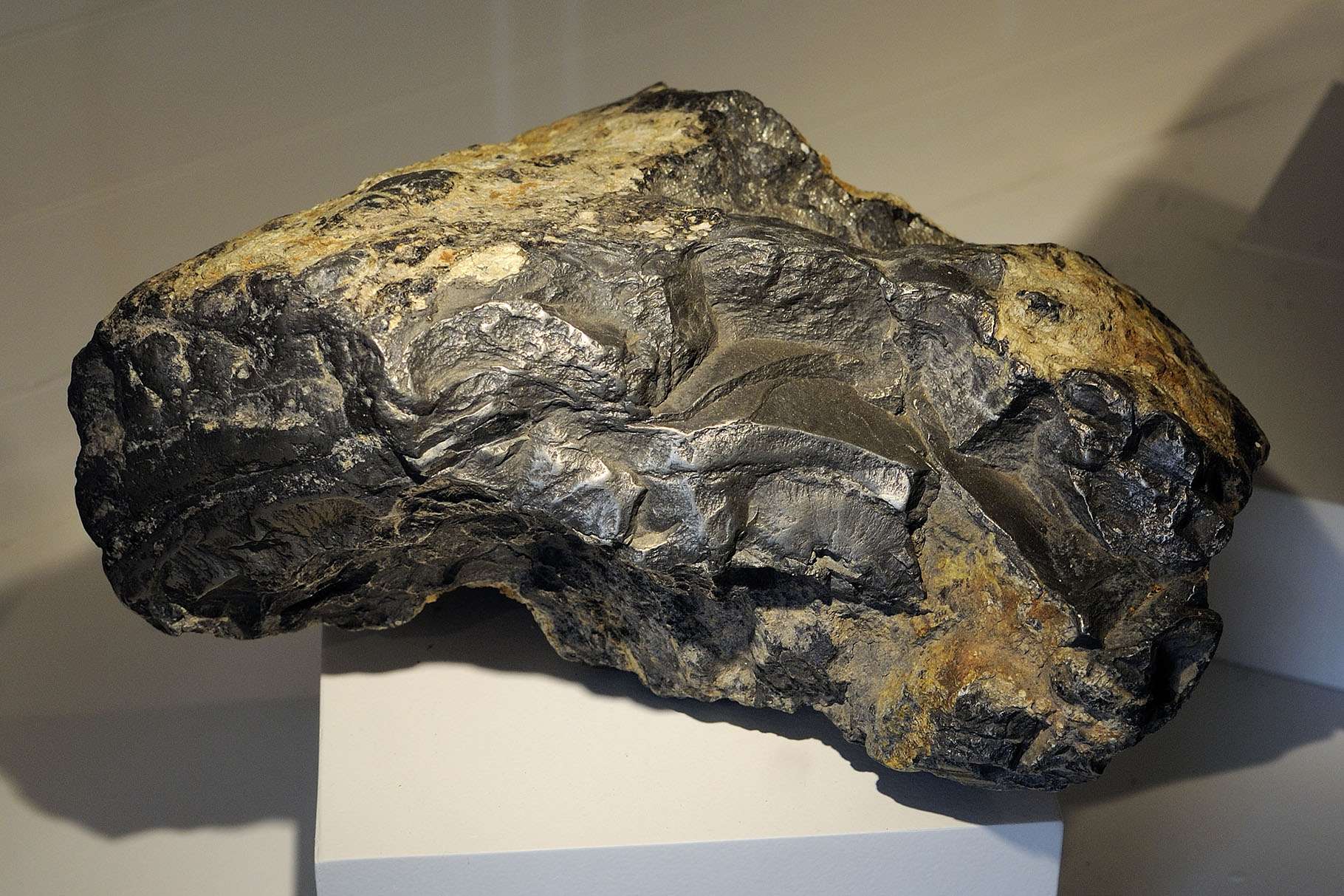 Antimoine et santé | Dossier