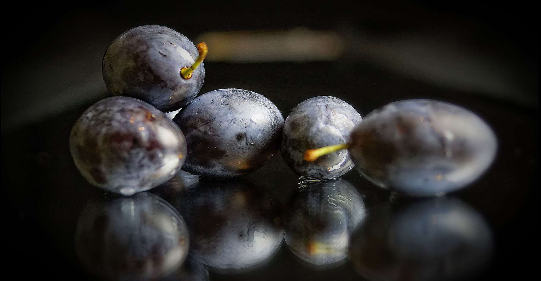 Le prunier : fleurs, feuilles et taille | Dossier