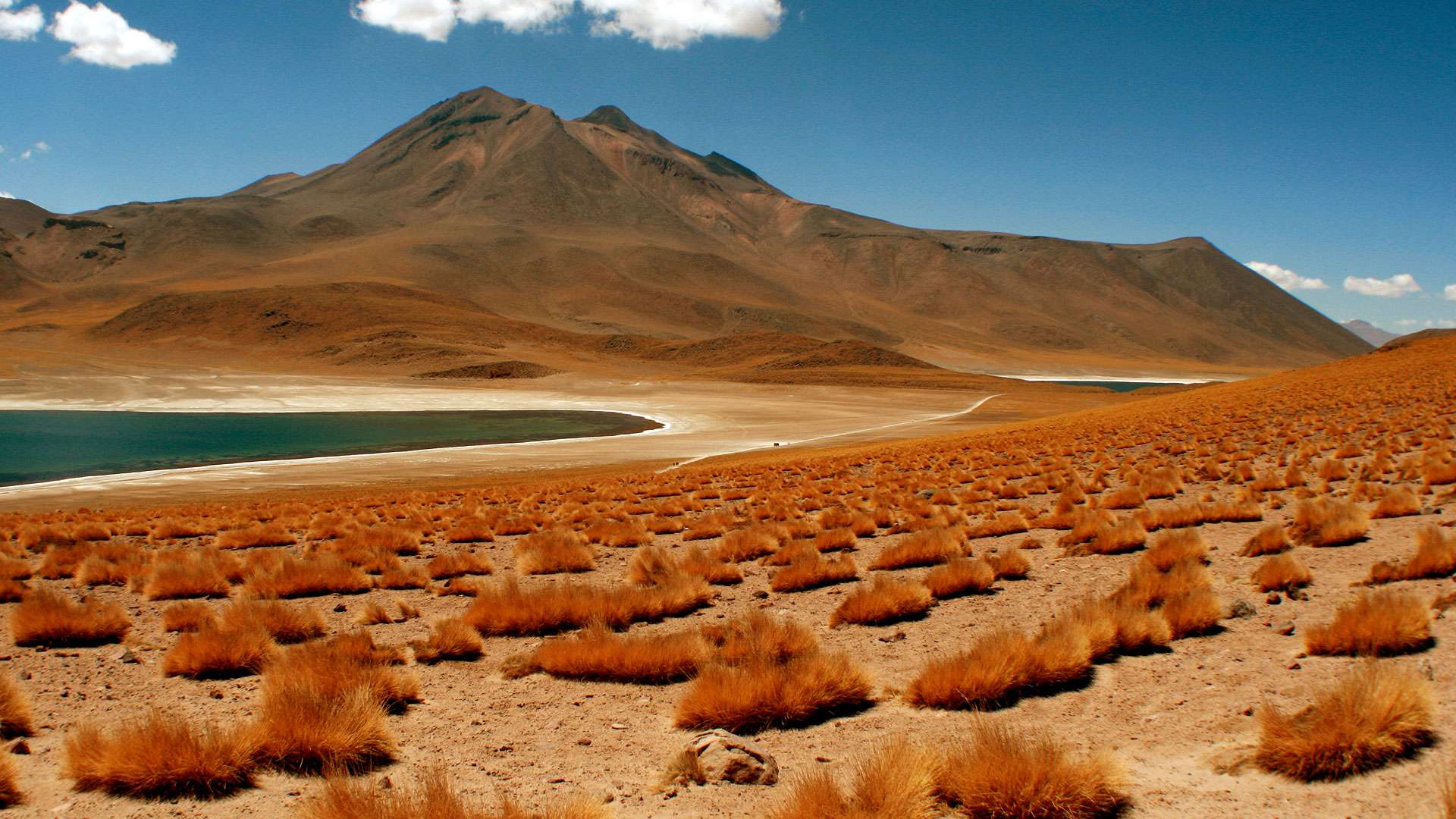 Chili, un lac salé en plein désert d’Atacama - Photos Futura