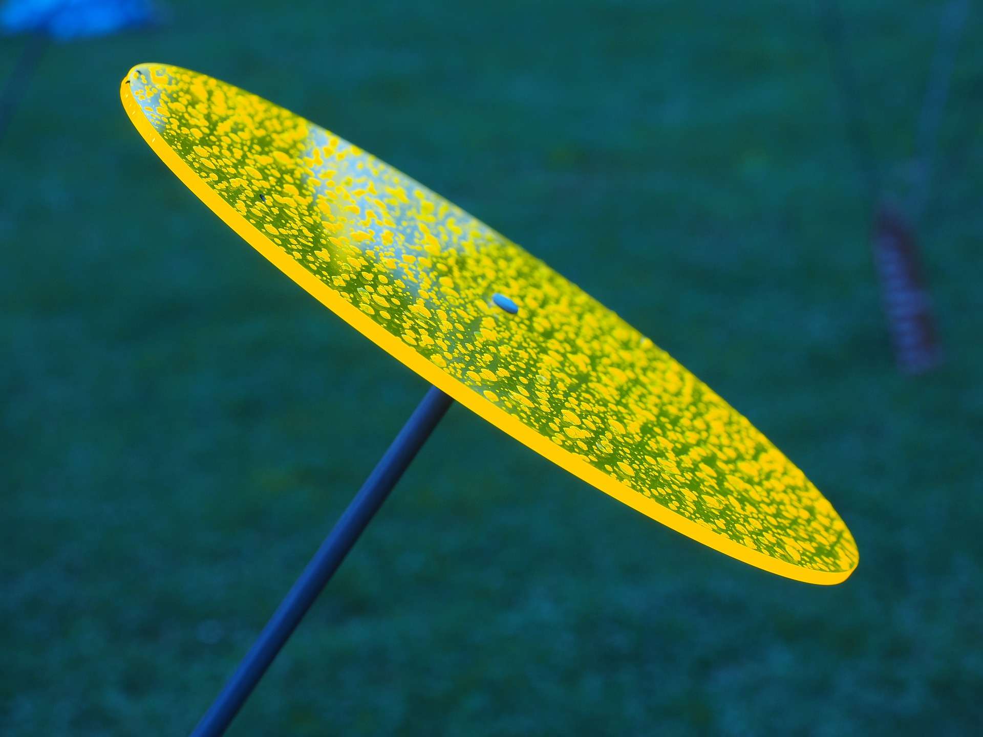 Définition | PMMA - Polyméthacrylate de méthyle - Plexiglas® - Altuglas®