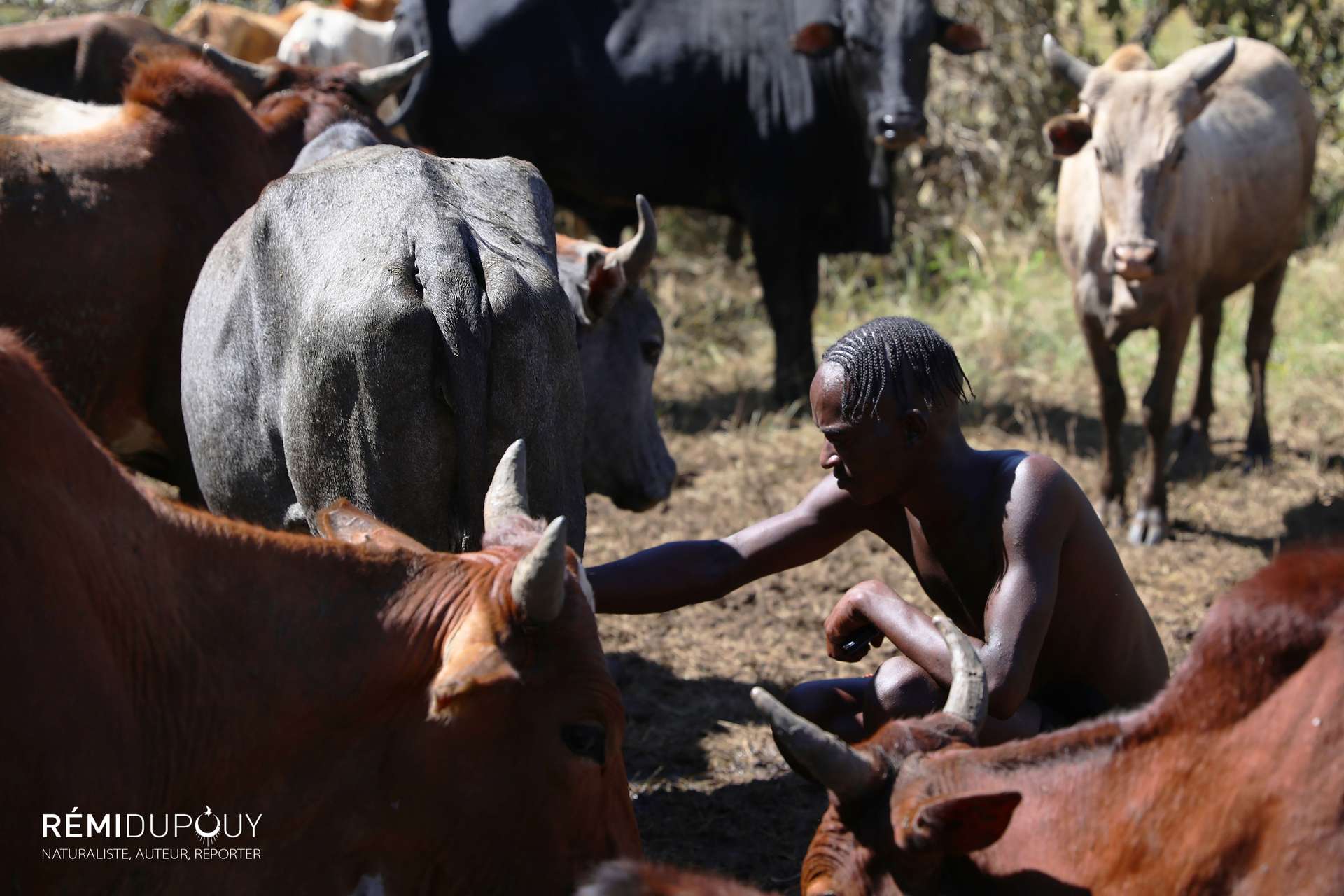 Éthiopie : les Banna vouent un vrai culte aux zébus dans la vallée de l'Omo - Photos Futura