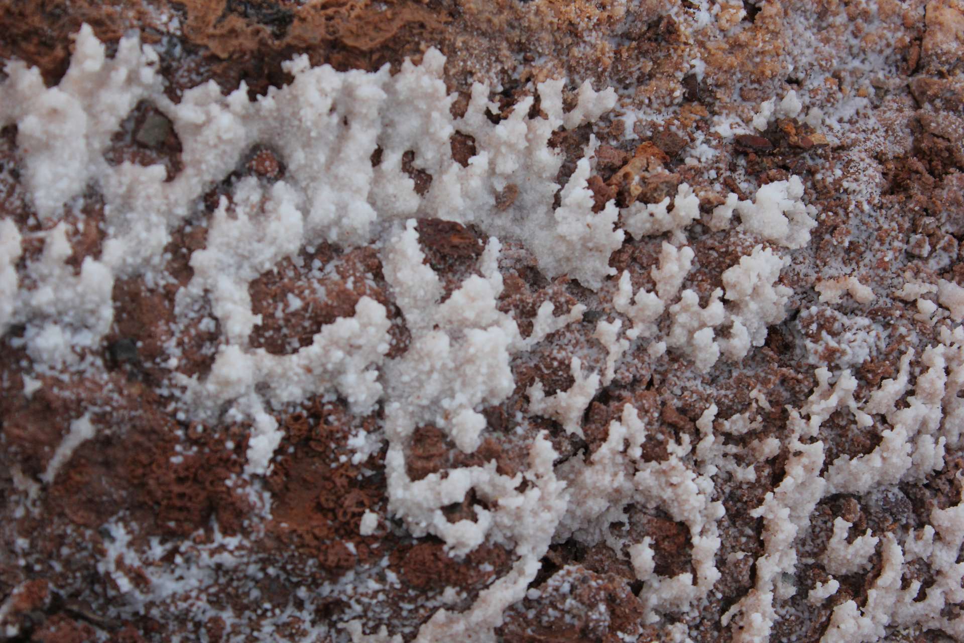 Définition | Corps pur : classification en chimie et propriétés ...