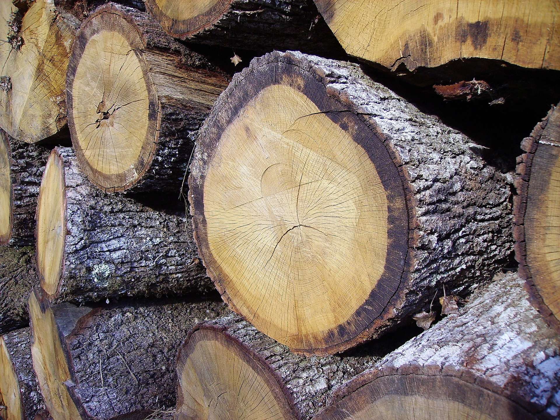 Définition | Datation absolue