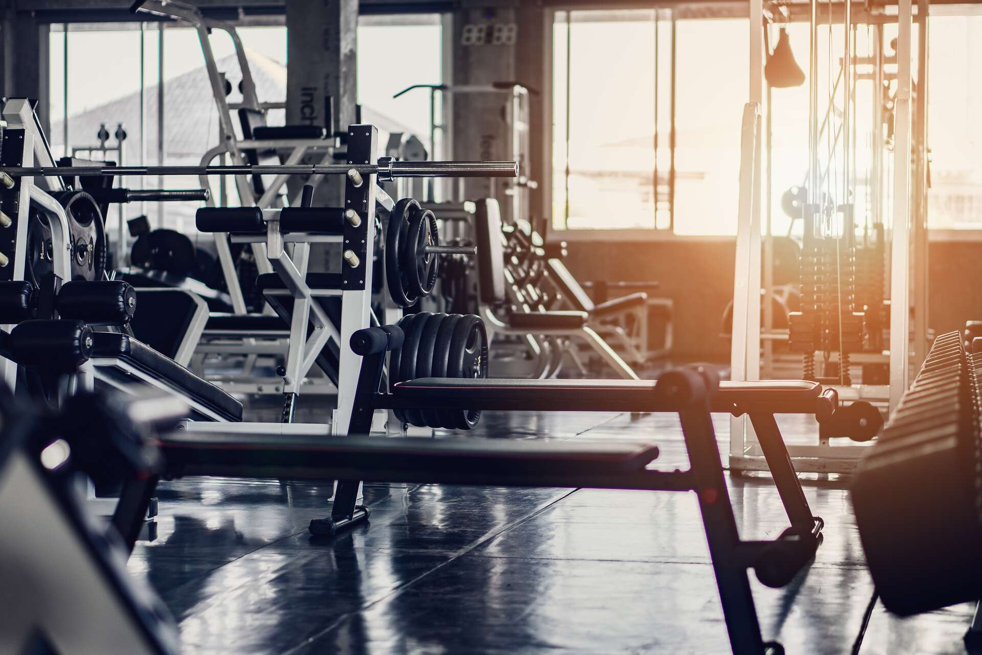 Quelles sont les meilleures stations de musculation à moins de 600