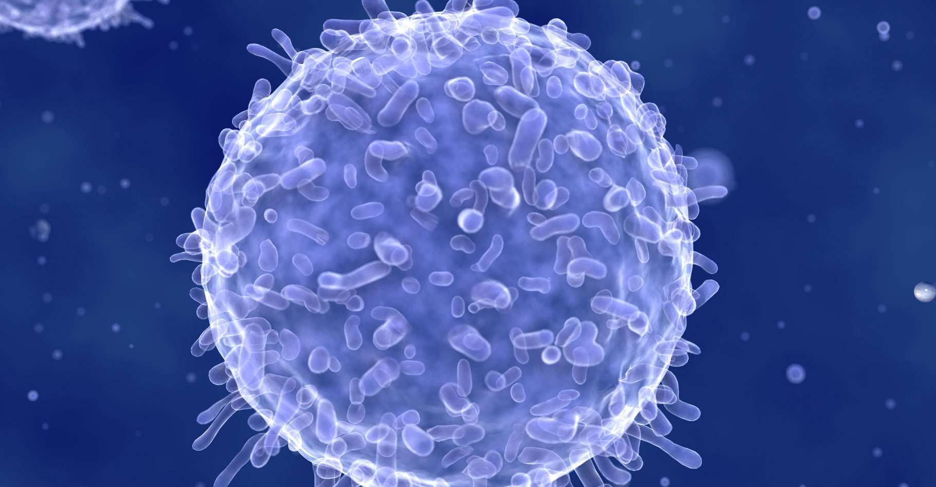 Le vaste monde microbien : bactéries et archées | Dossier