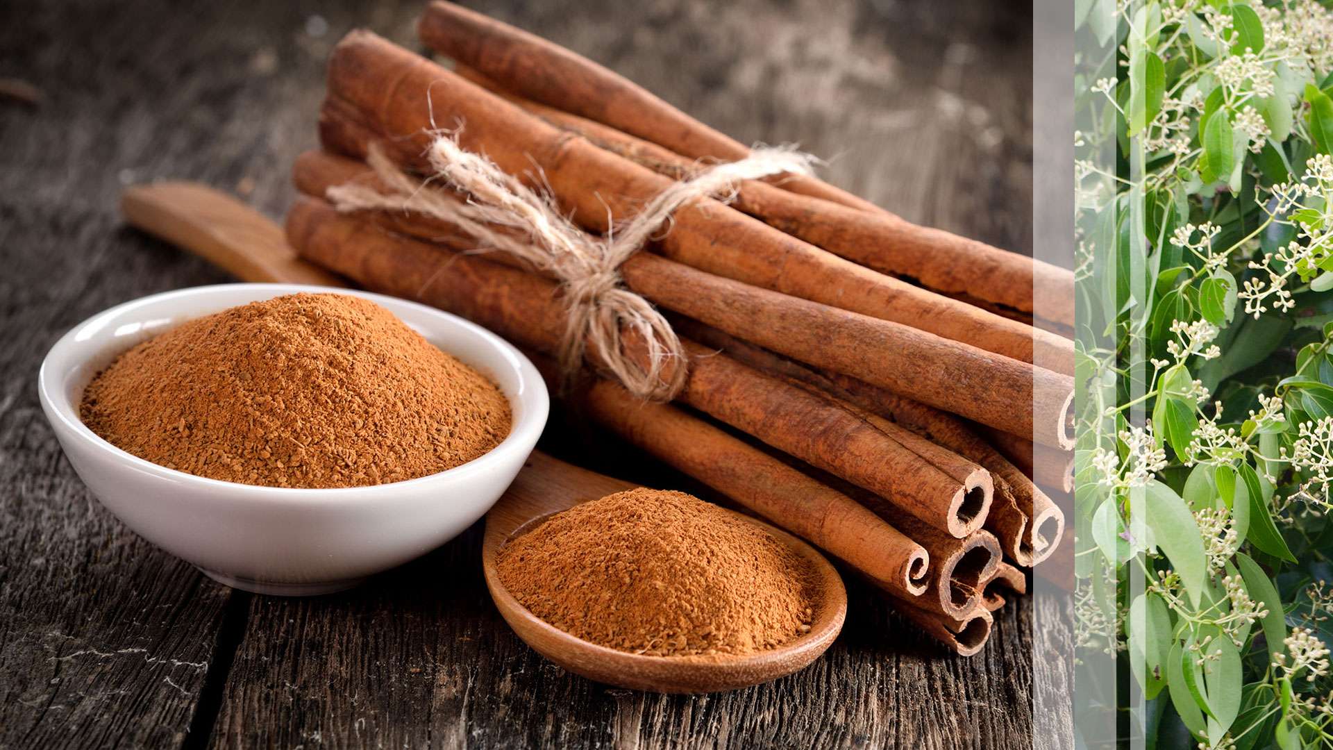 La cannelle, l’une des plus anciennes épices