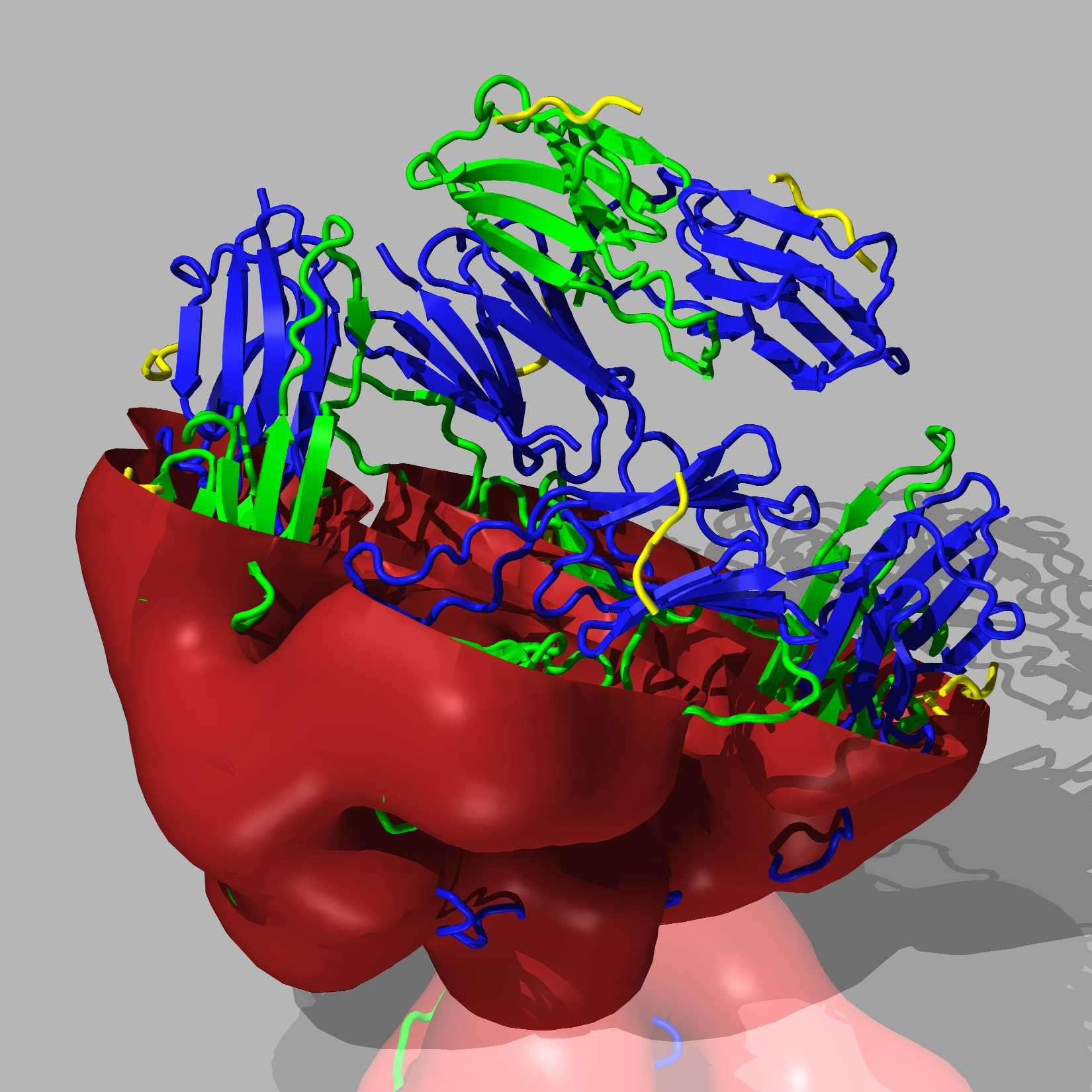 Définition | Protéine chaperon - Chaperon moléculaire
