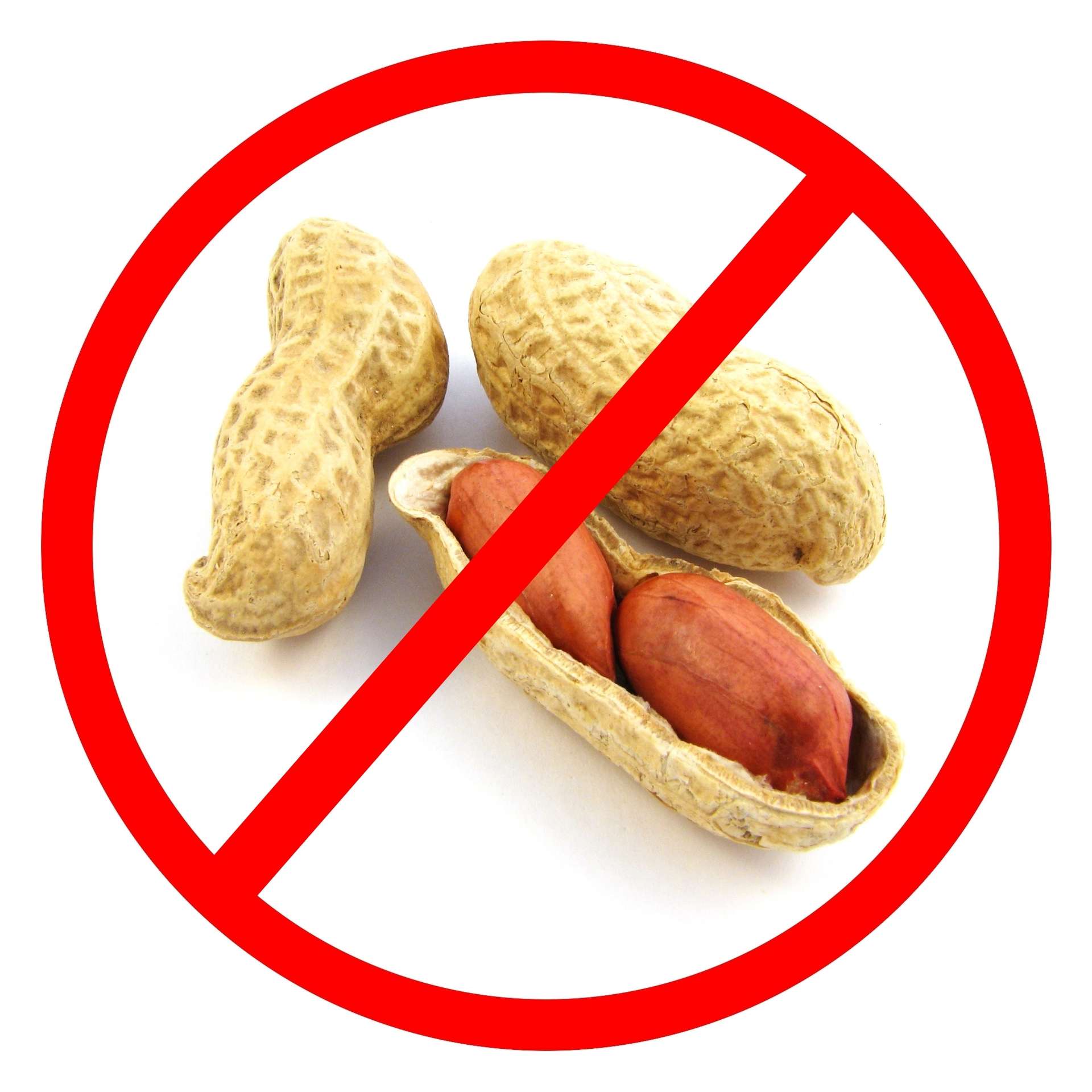 Allergie alimentaire : quelles précautions prendre