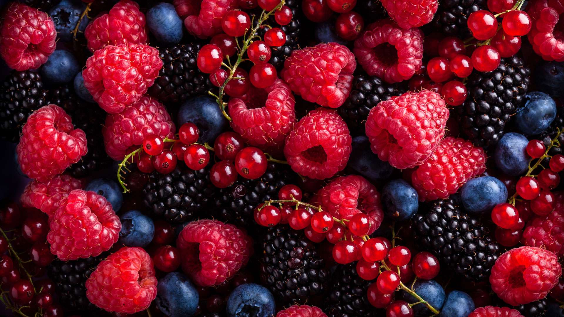 Livre sur les petits fruits rouges | Dossier