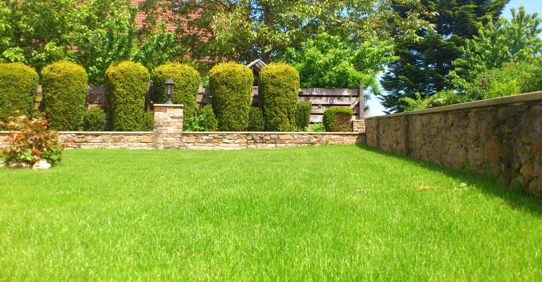 En savoir plus sur le gazon | Dossier