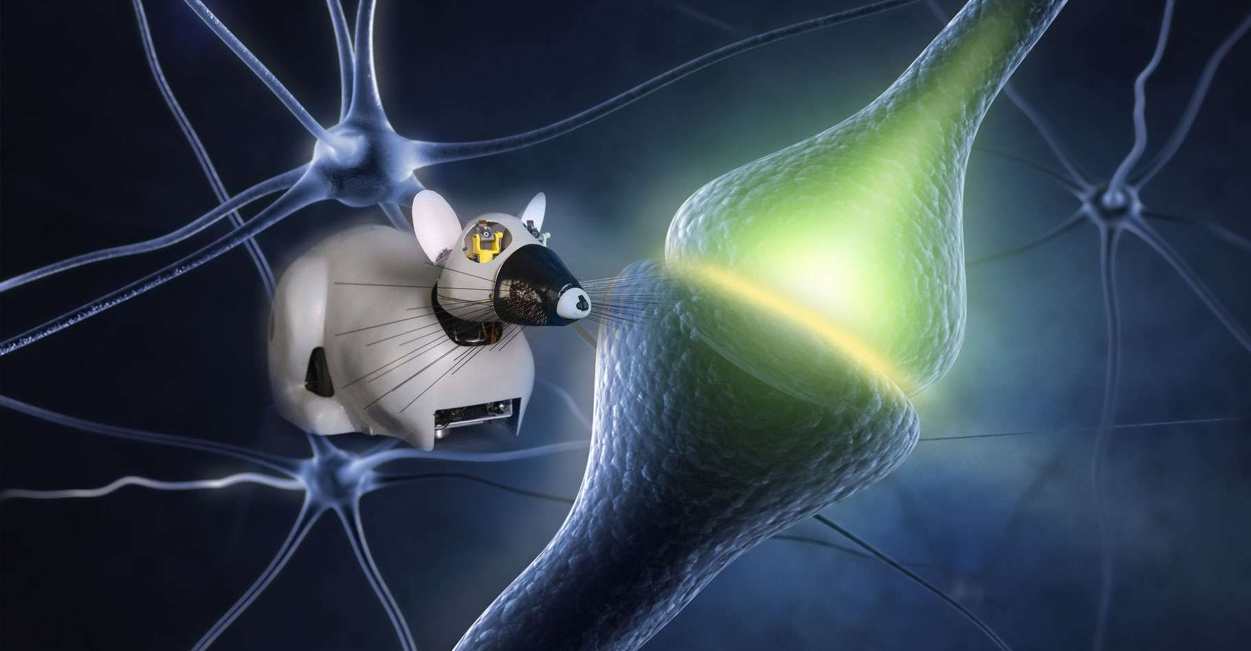 Psikharpax, le robot-rat intelligent | Dossier