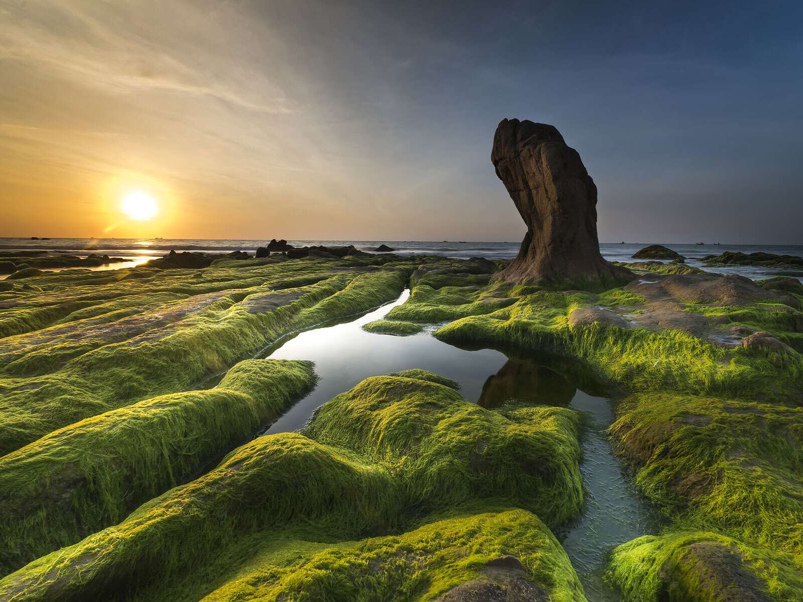 Plage rocheuse des 7 couleurs de Co Thach, Vietnam