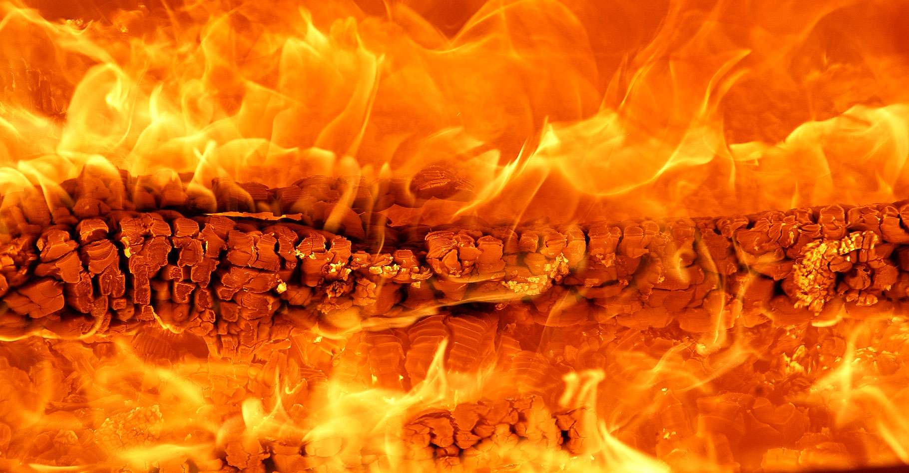 Mille et une facettes du carbone | Dossier