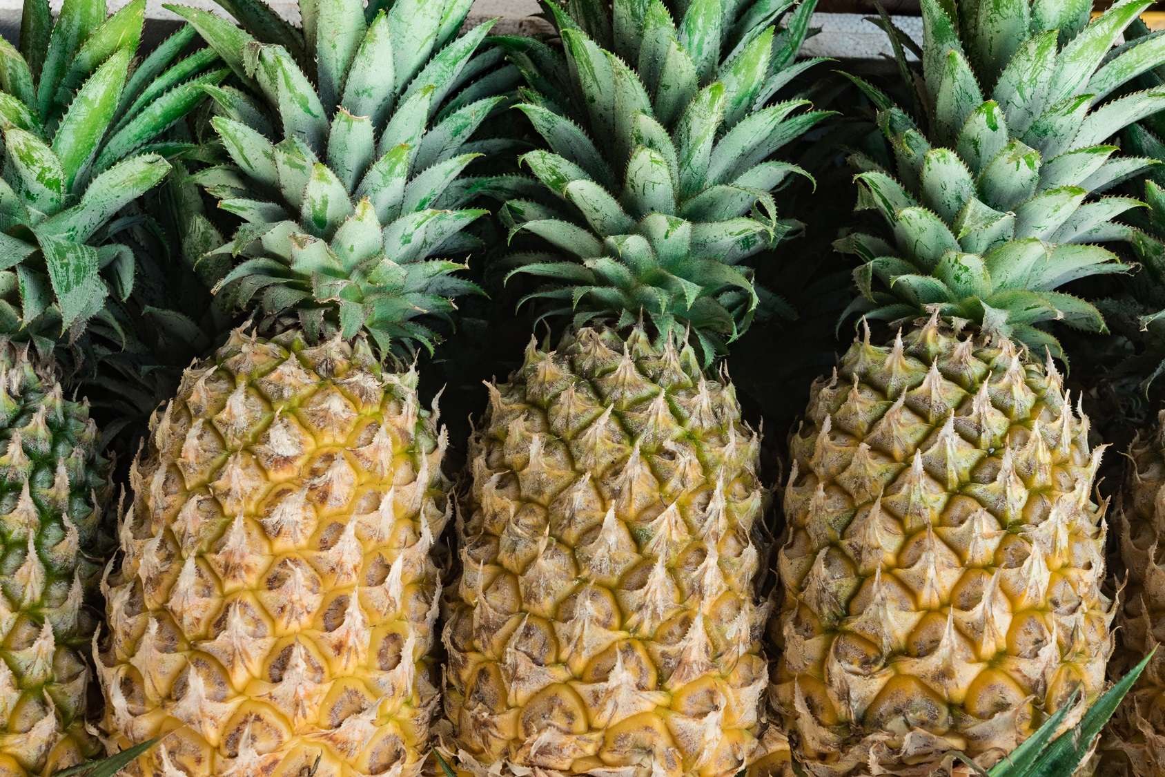 Bromélaïne : posologie et bienfaits