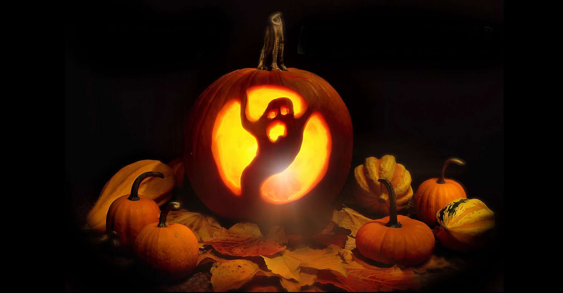 Halloween, citrouilles et cucurbitacées | Dossier