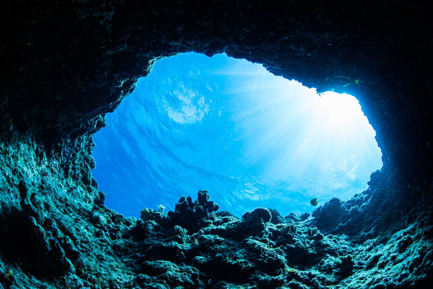 La plus grande grotte sous-marine du monde découverte au Mexique