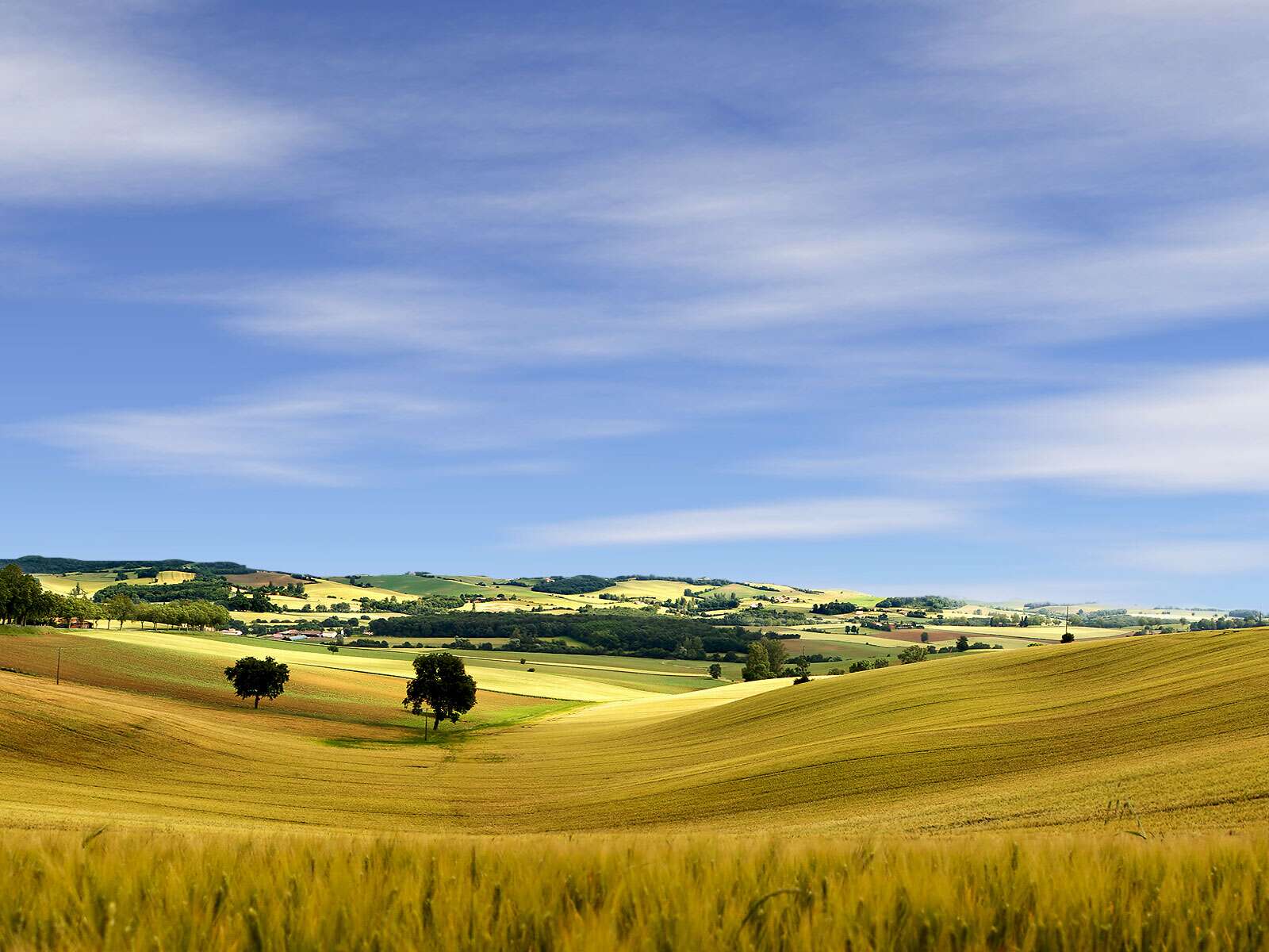 Campagne en Midi Pyrénées